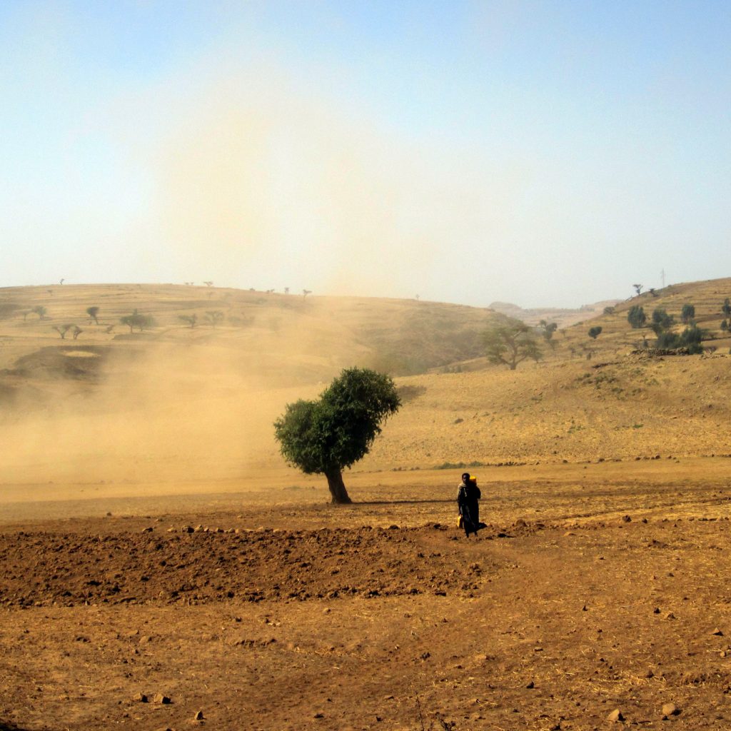 Active Remedy - Disasters Caused by Deforestation