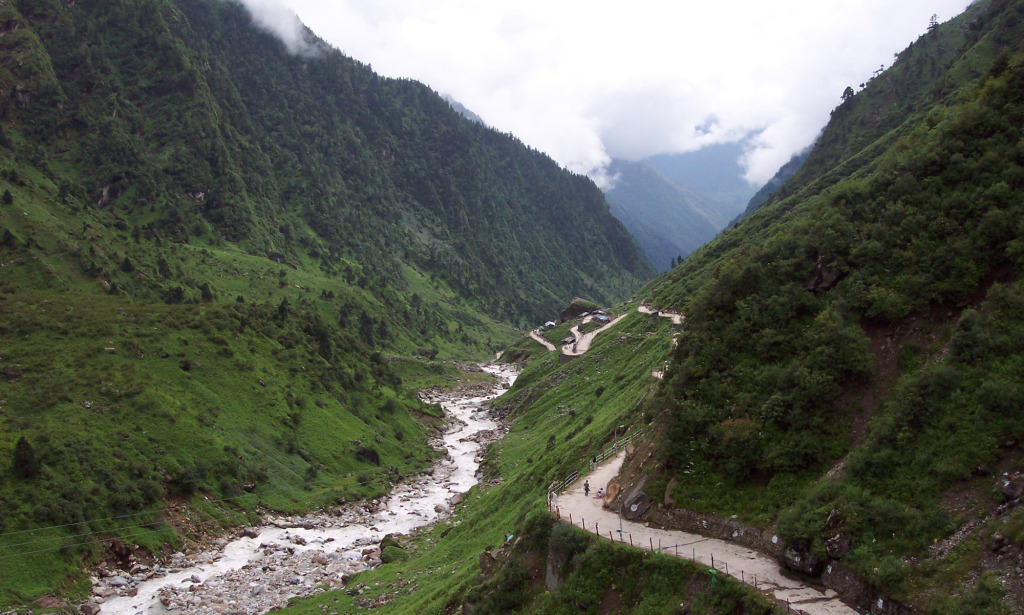 green corridor - Active Remedy